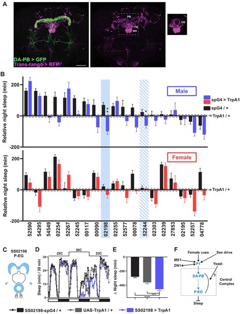 Figures And Data In Modulation Of Sleep Courtship Balance By