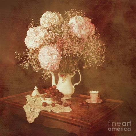Vintage Hydrangeas Photograph By Kafra Art Fine Art America