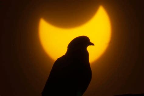 Luna Llena 2023 Cómo Será El Calendario De Las Fases Lunares Infobae