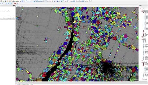 lidar and forest management trees counting msdi