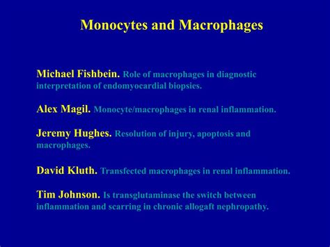 Monocytes And Macrophages