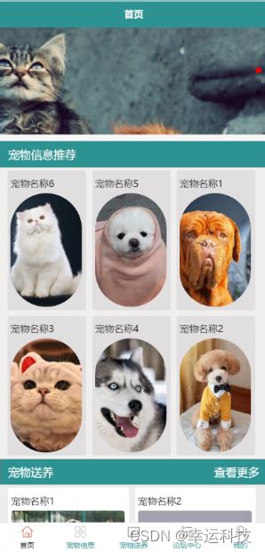 附源码 计算机毕业设计python宠物领养与物品捐赠小程序程序源码lw文档宠物信息管理python Csdn博客 附源码 计算机毕业设计python宠物领养与物品捐赠小程序程序源码lw文档宠物信息管理python Csdn博客