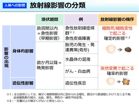 環境省 放射線影響の分類