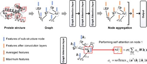Graph Convolutional Neural Network Used For The Learning Of The Protein