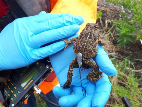 Canadian Natural Resources Limited Cnrl On Linkedin With Canadas