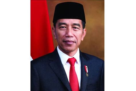 Infografik Profil Joko Widodo Presiden Ri 2019 2024