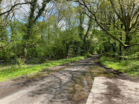 Waltham Lane Direction North Waltham Mr Ignavy Geograph Britain