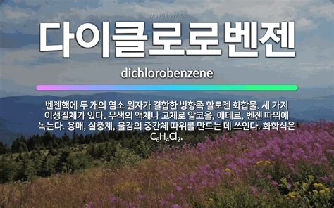 🌟다이클로로벤젠 벤젠핵에 두 개의 염소 원자가 결합한 방향족 할로젠 화합물 세 가지 이성질체가 있다 표준국어대사전