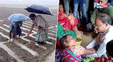 Three Farmers Kill Selves Within 72 Hours After Crops Damaged In Untime