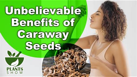 Caraway Revenue At Miguelina Cotten Blog