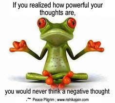 15 Frog Quotes Ideas Frog Quotes Frog Funny Frogs