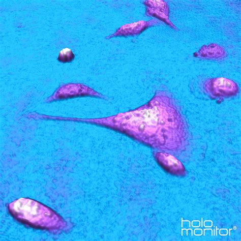 Phase Holographic Imaging On Linkedin Livecellimaging Holomonitor