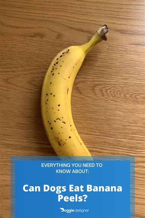 Can Dogs Eat Banana Peels Plabor