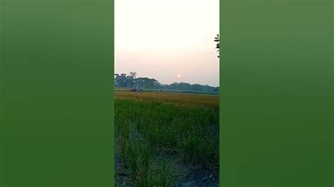 দুইটা জিনিস আপনাকে চিরস্থায়ী শান্তি দিবে Youtube