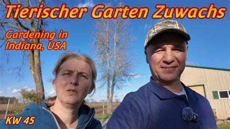 Usa Garten Vlog Wöchentlicher Rundgang Durch Unseren Garten Indiana Usa Kw45 2024 Youtube