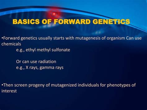 Forward And Reverse Genetics Pptx Genetics Science