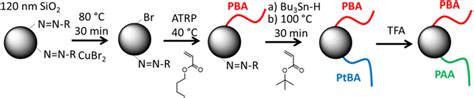Introducing The Binary Polymer Brushes To The Silica Surface Via Download Scientific Diagram
