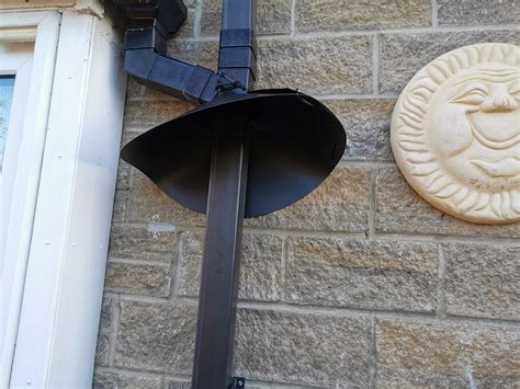 Gallery Pest Detective