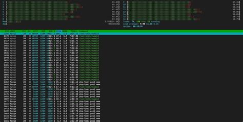 Optimiser La Table Wppostmeta De Wordpress Avec Un Index Zonetuto