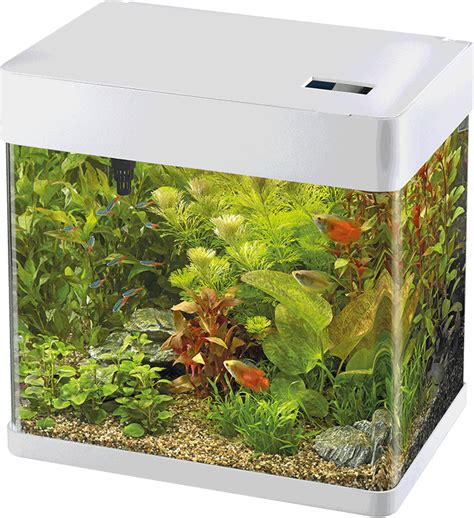 SuperFish Panorama Aquarium Aquadistri