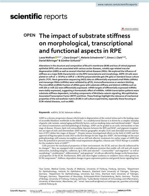 Pdf The Impact Of Substrate Stiffness On Morphological Transcriptional And Functional Aspects