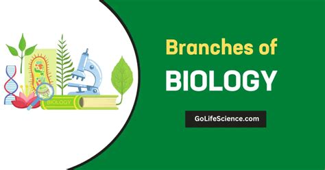 9 Most Popular Branches Of Biotechnology In 2024