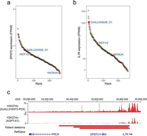 Activating Deletion Upstream Prlr Expression Fpkm On Y Axis Of Spef2 Download Scientific