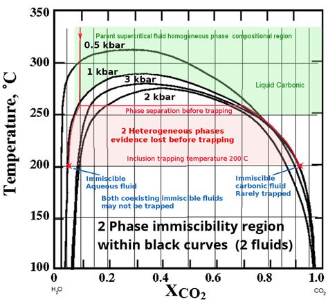 Explaing Co Inclusions Heterogeneous Trapping Co Solvus Immiscible Co Fluids Hydrothermal