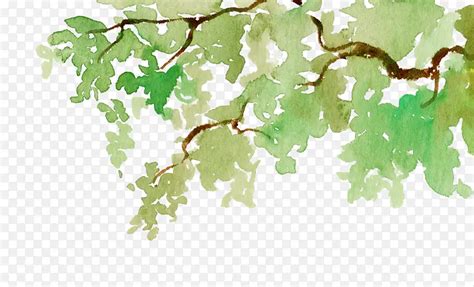 手绘植物水彩右上角png图片素材下载图片编号yrggzloa 免抠素材网