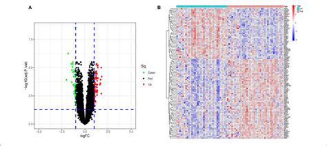 A A Volcano Plot Representing The Findings Of Differential Download Scientific Diagram