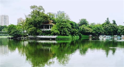 广州荔湾湖公园原来这么美啊