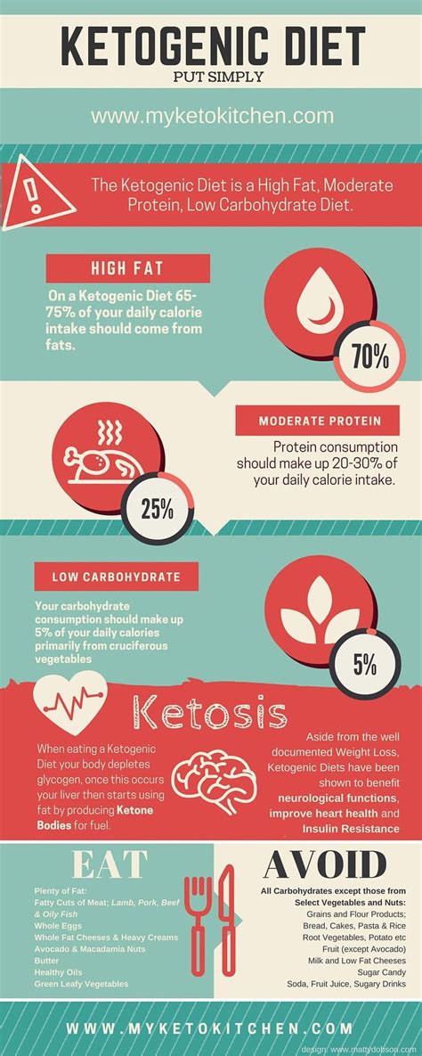 Ketogenic Diet Low Carb Diet High Fat Diet Meat Veggies Cheese