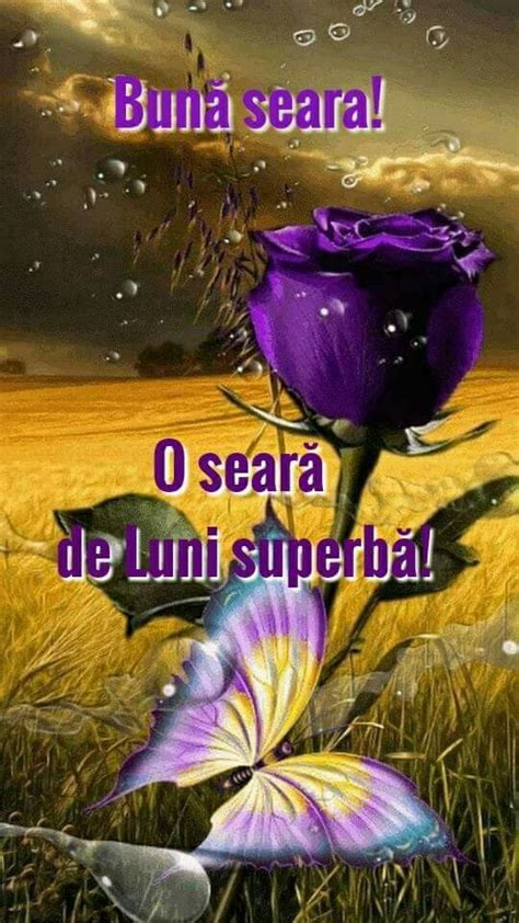 O Seara Frumoasa Tuturor O Seara De Miercuri Frumoasa Langa Cei
