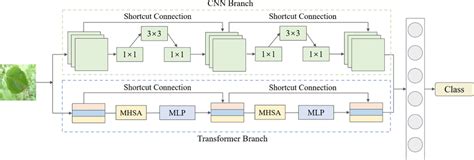 Dctn Dual Stream Model Diagram With Blue For Cnn Branch And Green For Download Scientific