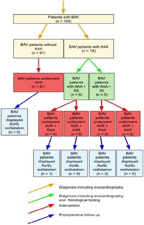 Schematic Showing Diagnosis Type Of Intervention And Postoperative