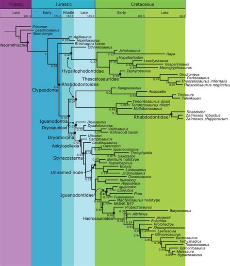 Maximum Clade Credibility Tree Produced By Bayesian Analysis Posterior Download Scientific