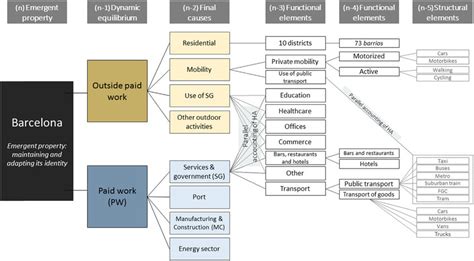 Dendrogram Of Functional Categories Across Hierarchical Levels For The