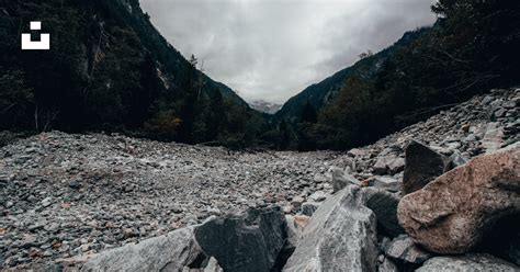 바위와 나무를 배경으로 바위가 많은 지역 사진 Unsplash의 무료 회색 이미지