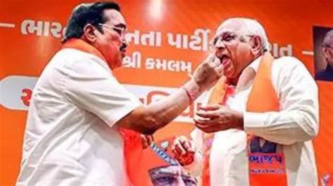 Bjp Sweeps Gujarat Local Body Polls Congress Tally Improves Marginally