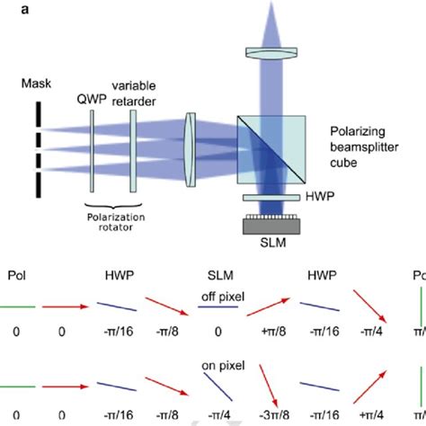 Principle Of D SIM Observable Regions For The Conventional Microscope