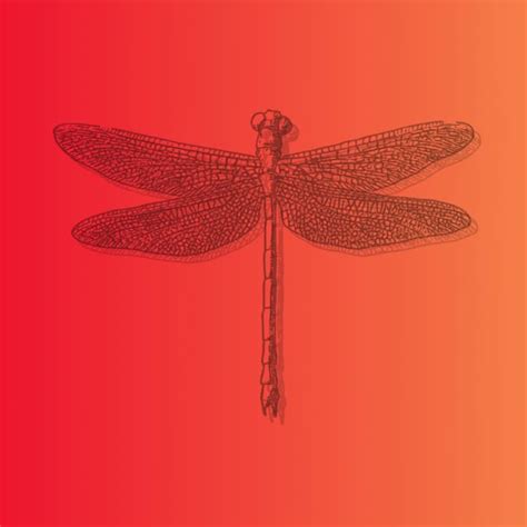 Aaruni Abhishek On Linkedin Happyfridayeveryone