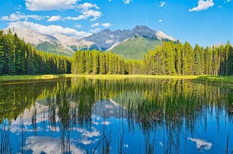 Simrit Sandhu Posted On Linkedin