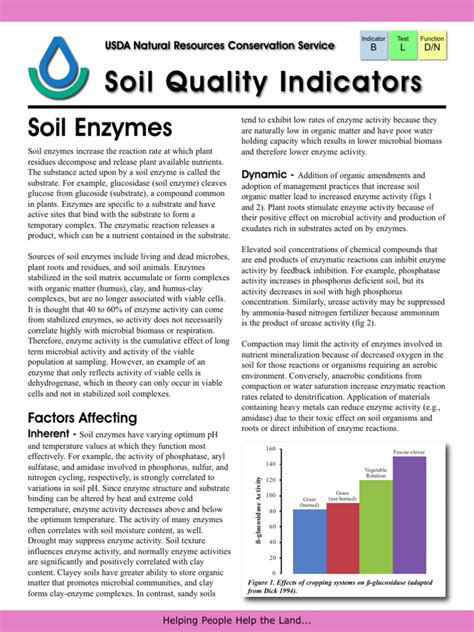 Soil Enzymes Pdf Soil Enzyme