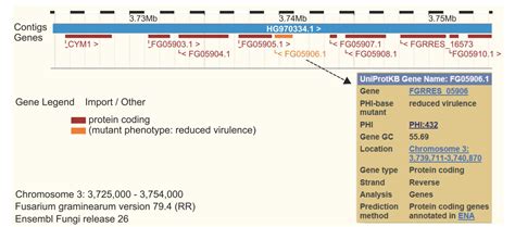 Figure 1 From Using The Pathogen Host Interactions Database Phi Base To Investigate Plant