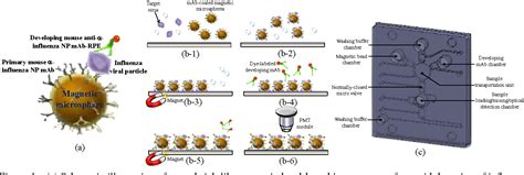 Figure 1 From A Magnetic Bead Based Immunoassay For Rapid Purifica Tion And Detection Of