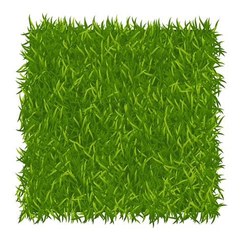 Green Grass Background Lawn Nature Abstract Field Texture Green