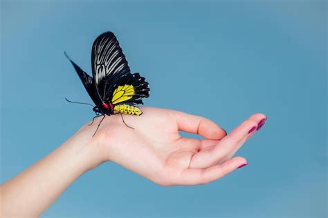 Premium Photo Beautiful Nude Woman On Blue Backgroundgirl And A Beautiful Butterfly