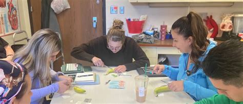 About The Perfusion Education Program Perfusion Education Program