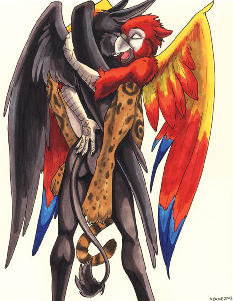 Rule 34 2003 Ass Avian Ayame Emaya Couple Female Gryphon Macaw Male Margay Parrot Sex Straight