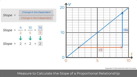 Essential Math Concepts